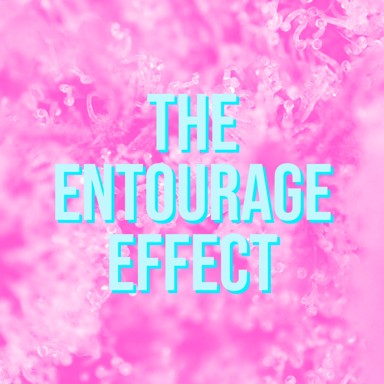 The Entourage Effect – Curated Cannabis