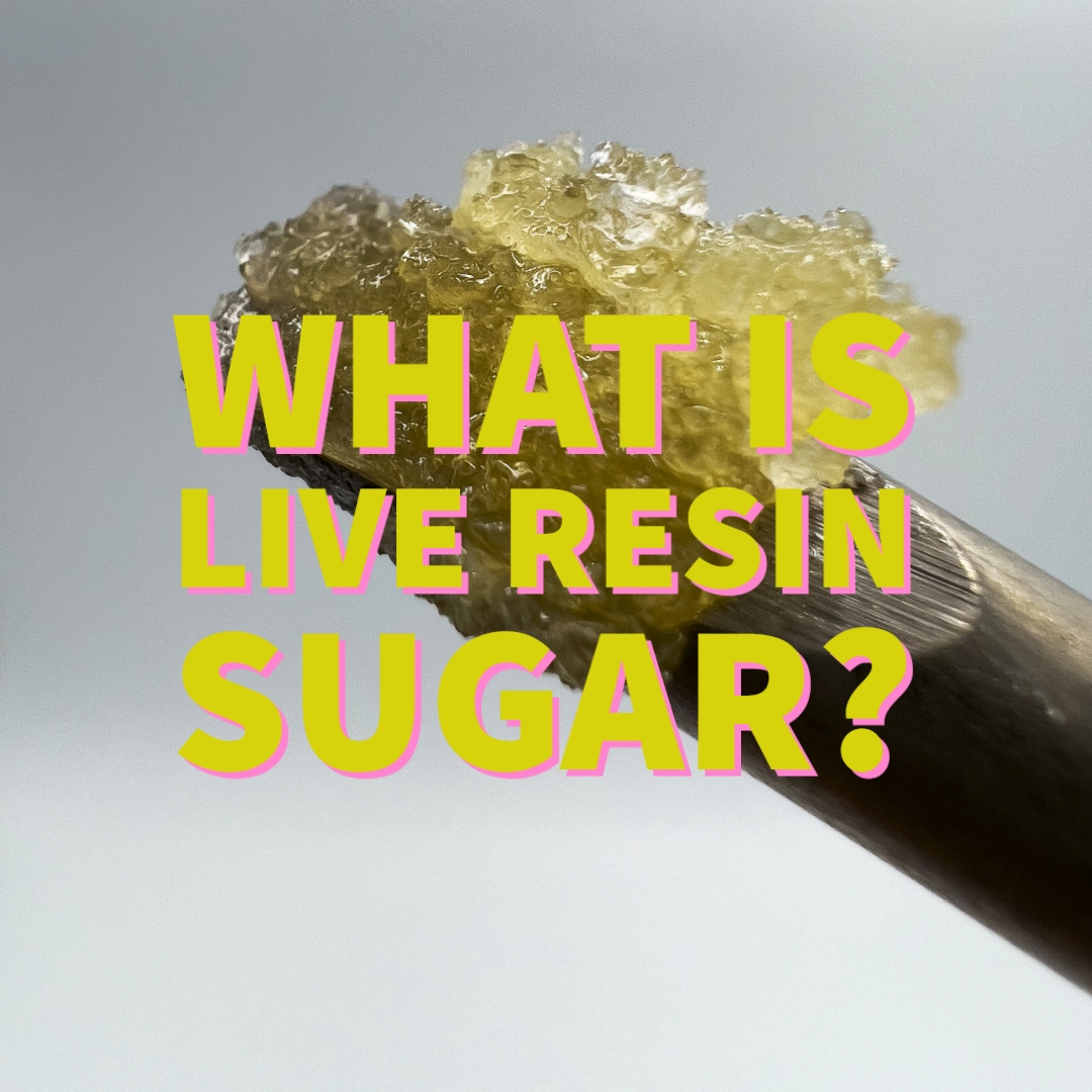 What is Live Resin Sugar? – Curated Cannabis