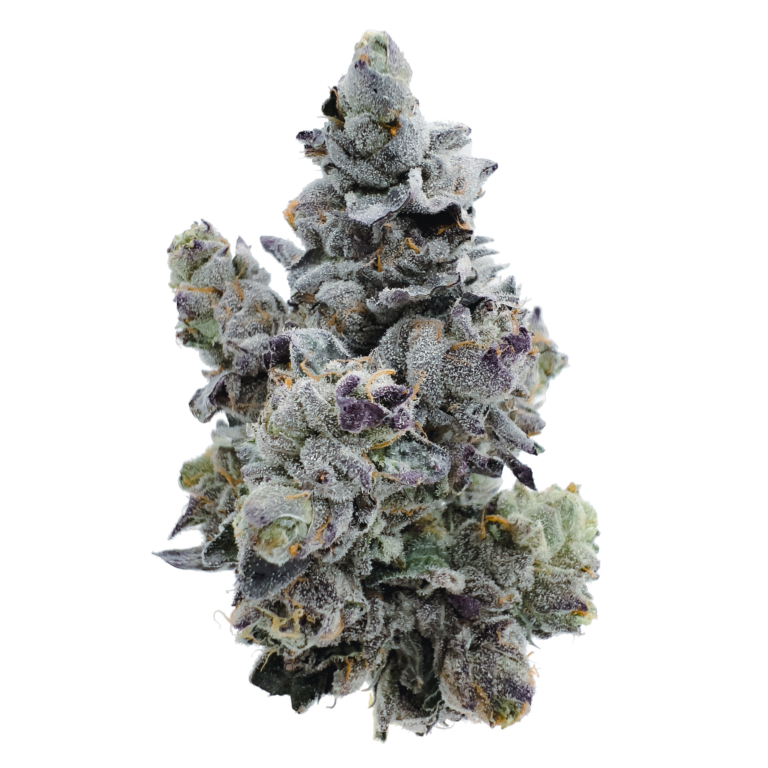 Curated Cannabis – Timeless Flower. Modern Methods.