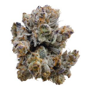 Julius Caesar – Curated Cannabis