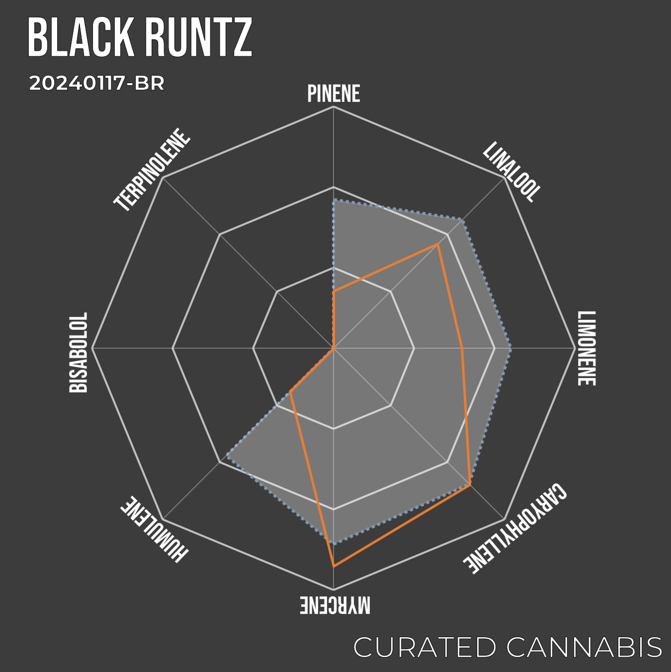 Black Runtz – Curated Cannabis