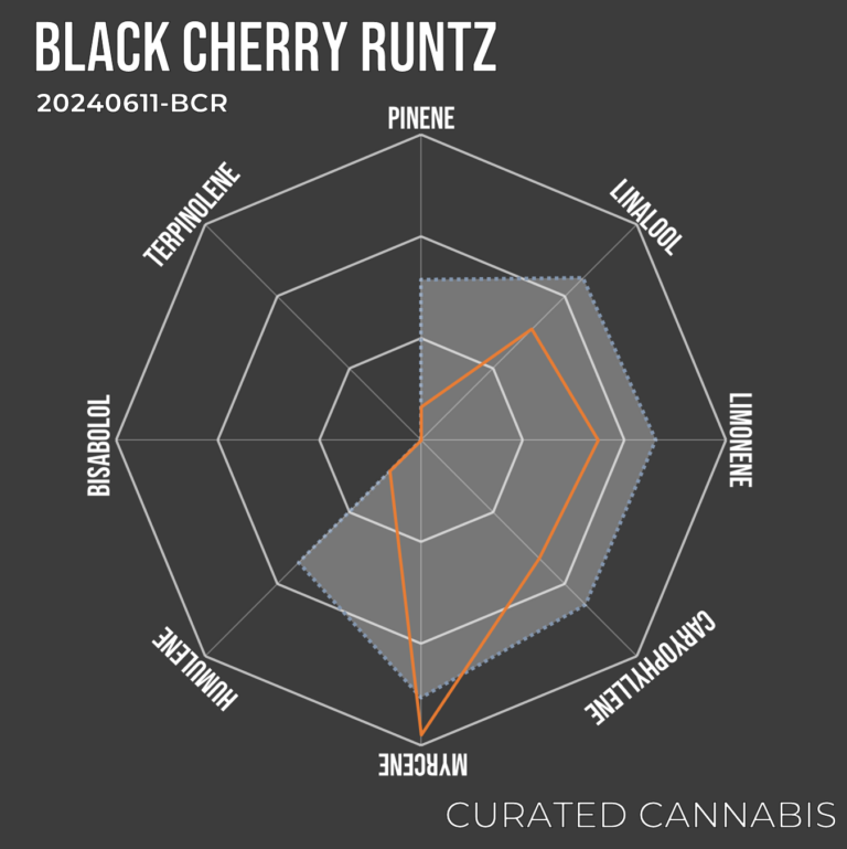 Black Cherry Runtz – Curated Cannabis